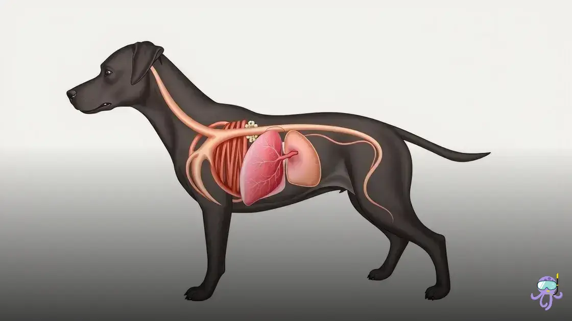 onde fica o pulmão do cachorro? Descubra agora mesmo!